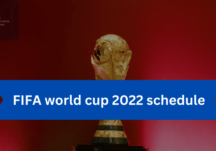 Qatar World Cup 2022 Tickets | FIFA World Cup, Schedule